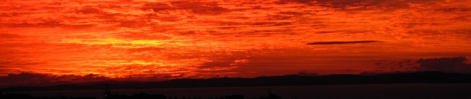 not-for-profit.org.nz, a resource for NZ non-profits, charities etc